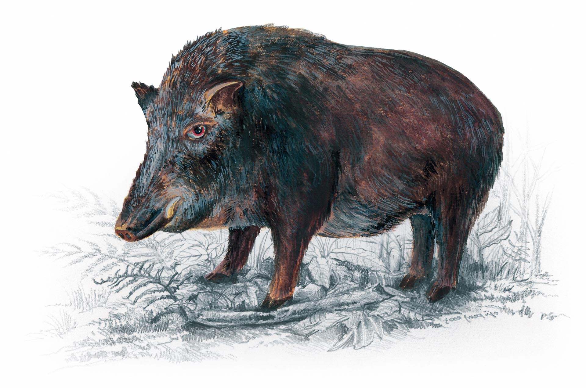 Shei-Pa National Park Headquarters, National Park Service, Ministry of ...